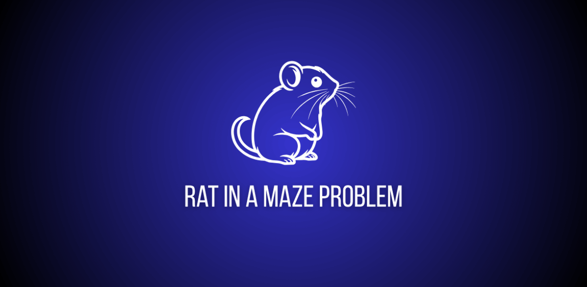 Rat in a Maze Problem - I | GFG Practice | 2 different solutions